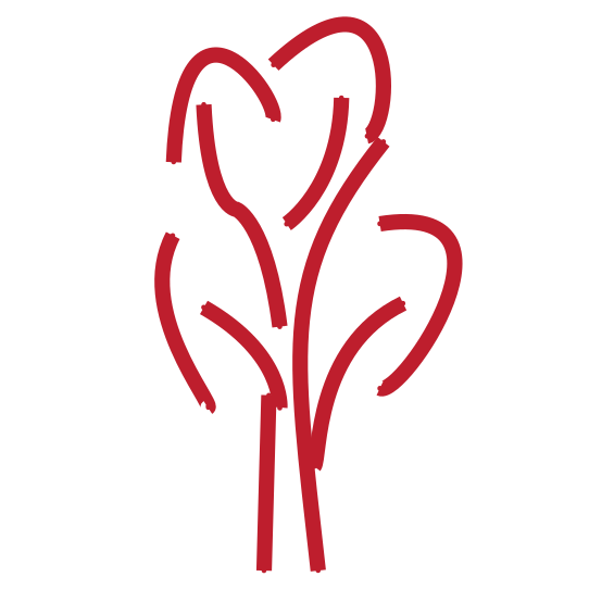 Rubida Communciations favicon – Rubida Communications